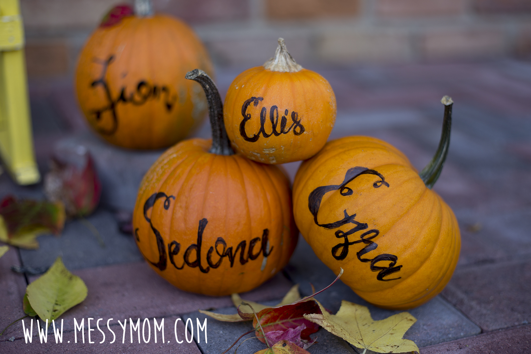 Our Family Pumpkins – Messymom